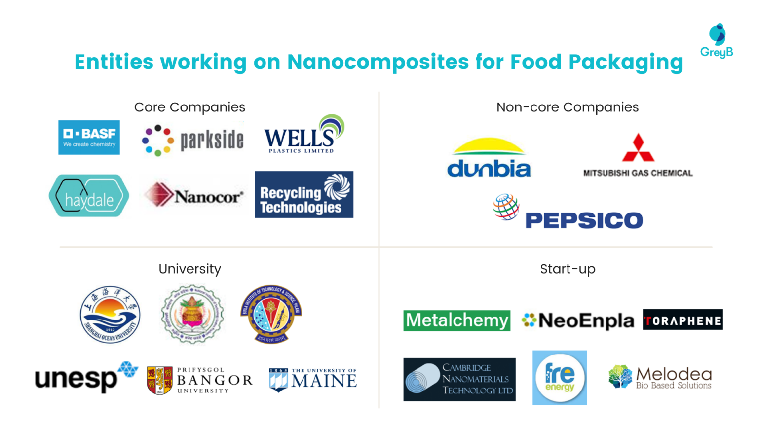 Nanocomposite Food Packaging Report - GreyB