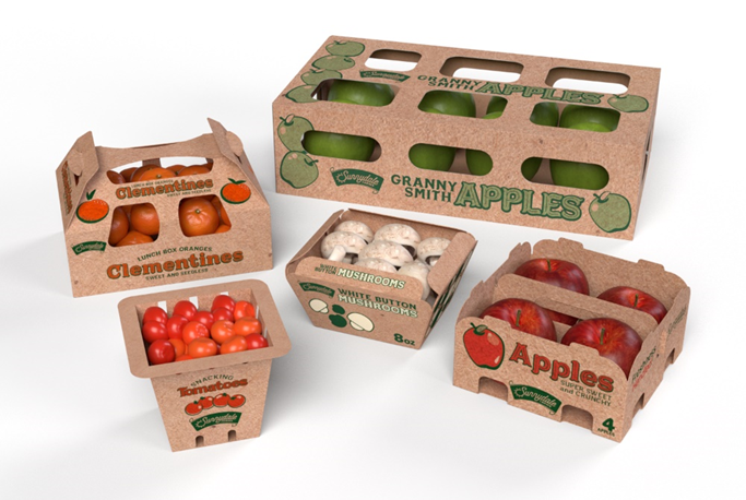 Top 10 Sustainable Packaging Companies in 2025 - GreyB