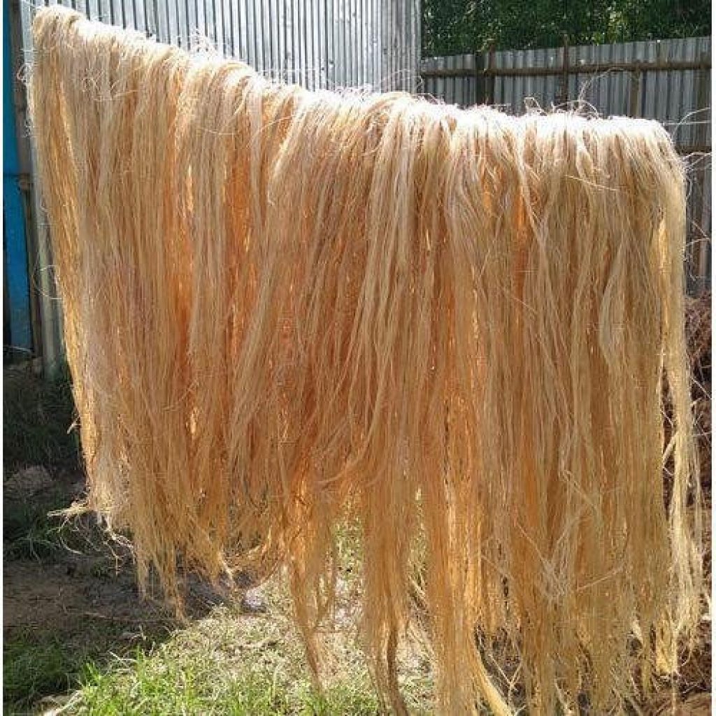 7 Sustainable Textiles Trends in to watch in 2026 - GreyB