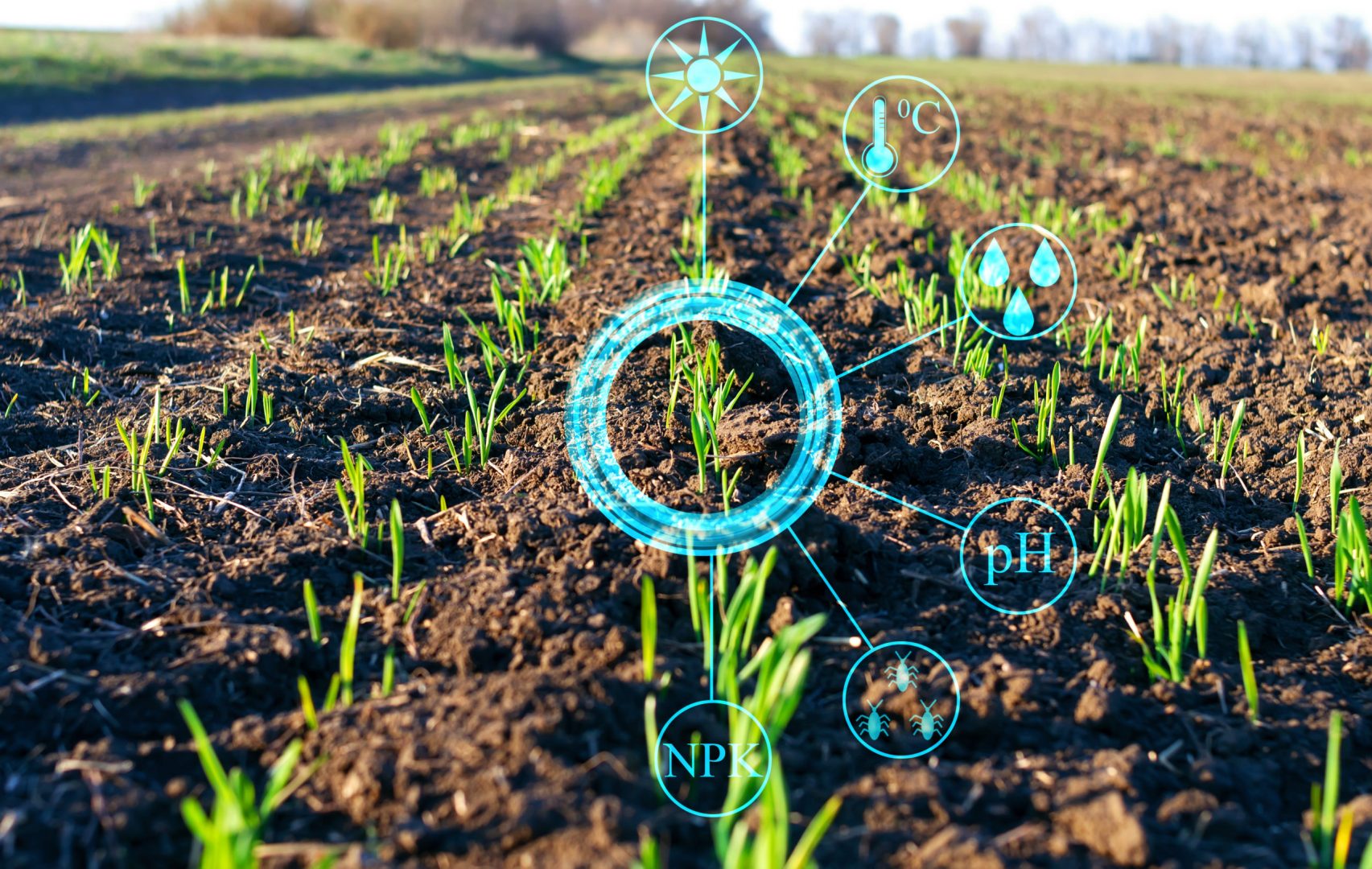 5 Agriculture Technology Trends to watch in 2026 - GreyB