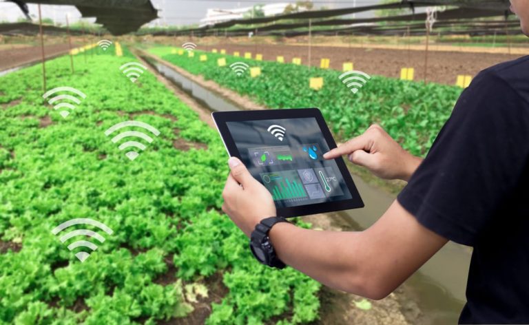 5 Agriculture Technology Trends to watch in 2026 - GreyB