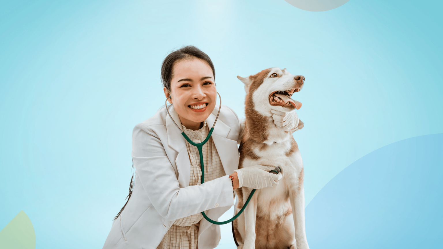 Latest Innovations in Functional Animal Feed Additives in 2025