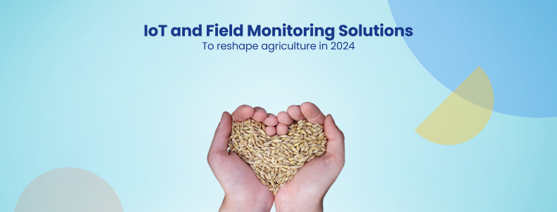 IoT and Field Monitoring Innovations for Agriculture in 2024