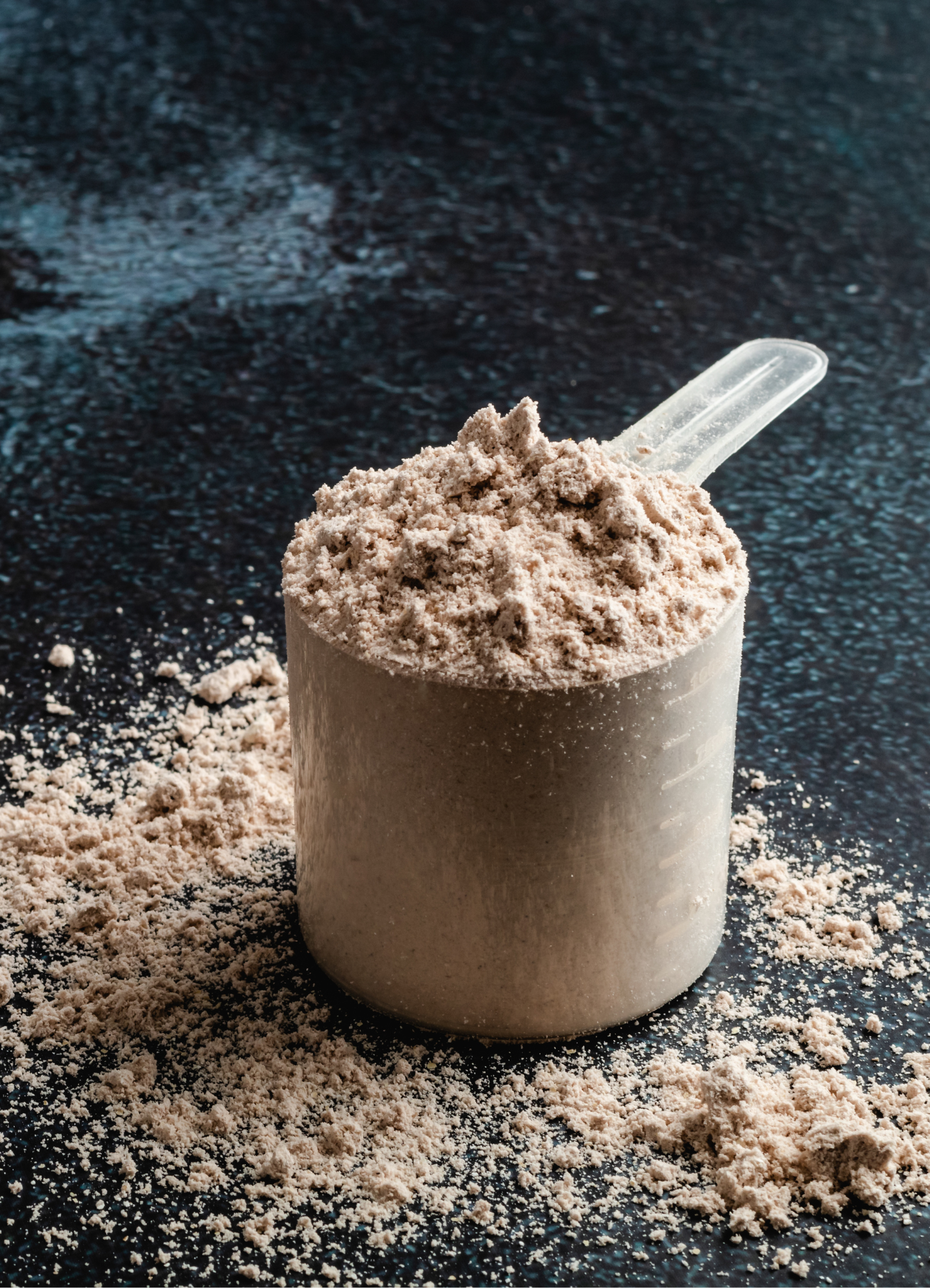 Alternative Protein - GreyB