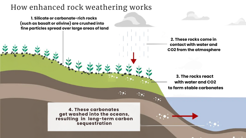 Carbon offsetting- a greenwashing strategy? - GreyB