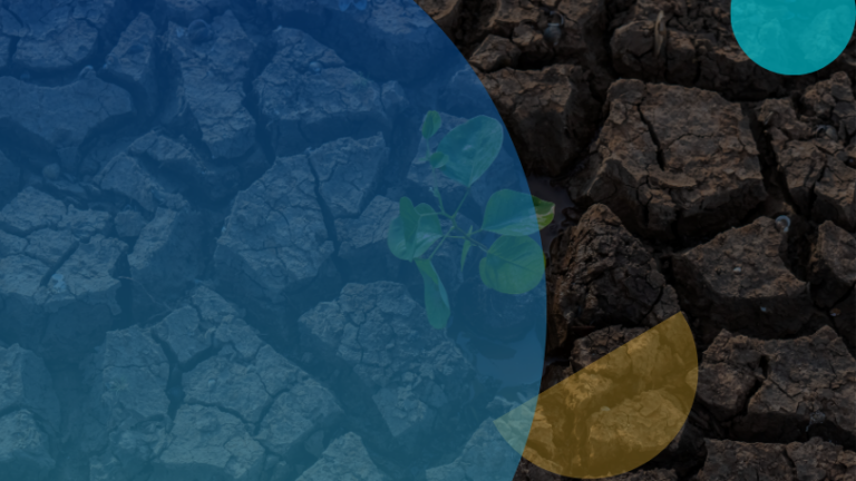 How Ai Is Used To Detect Pests And Save Crops In Agriculture