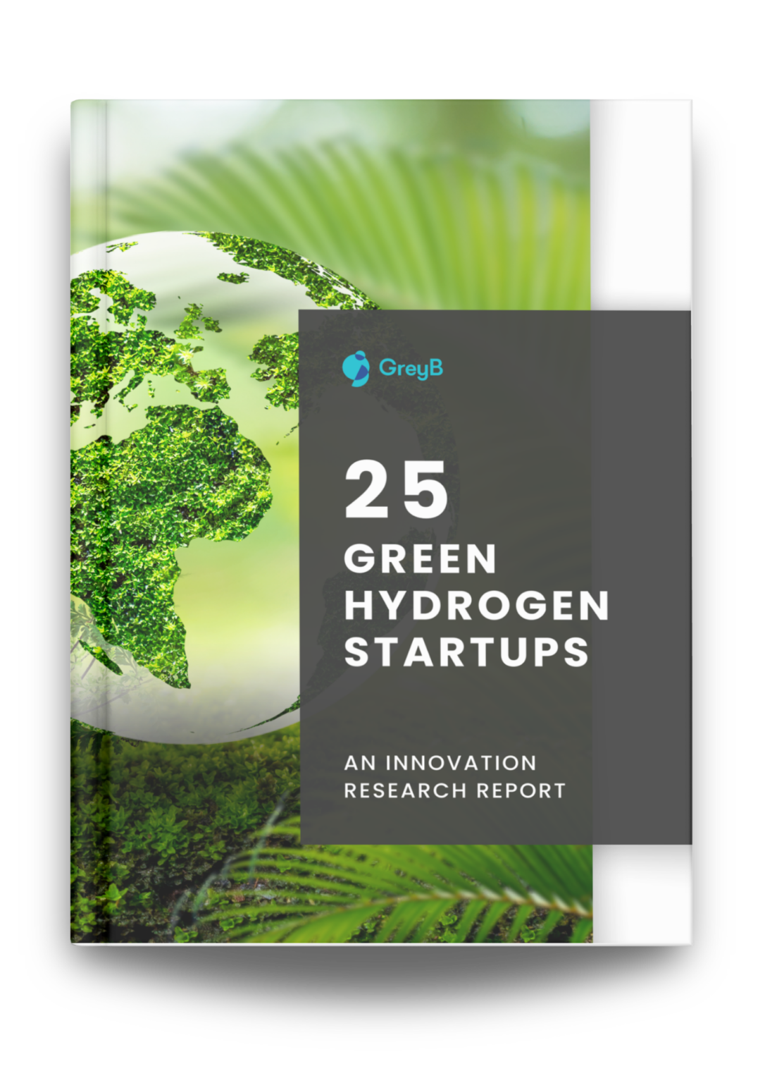 Green Hydrogen Startups Report - GreyB