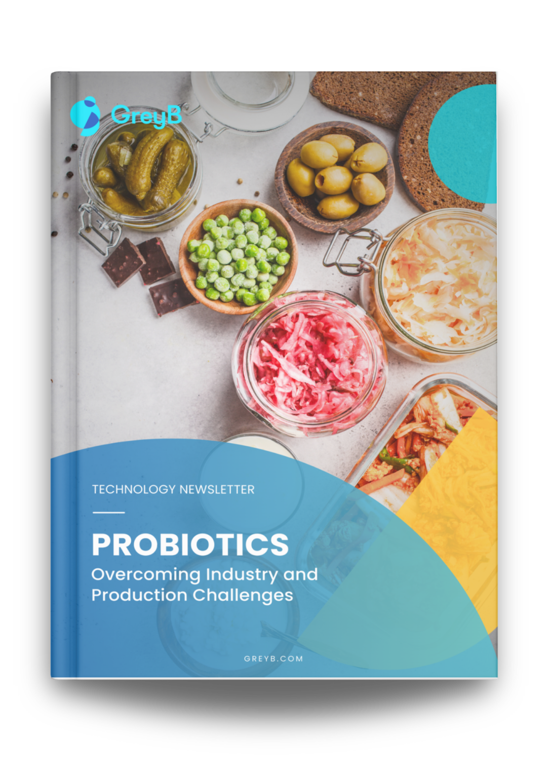 Probiotic Research Trends Report - GreyB