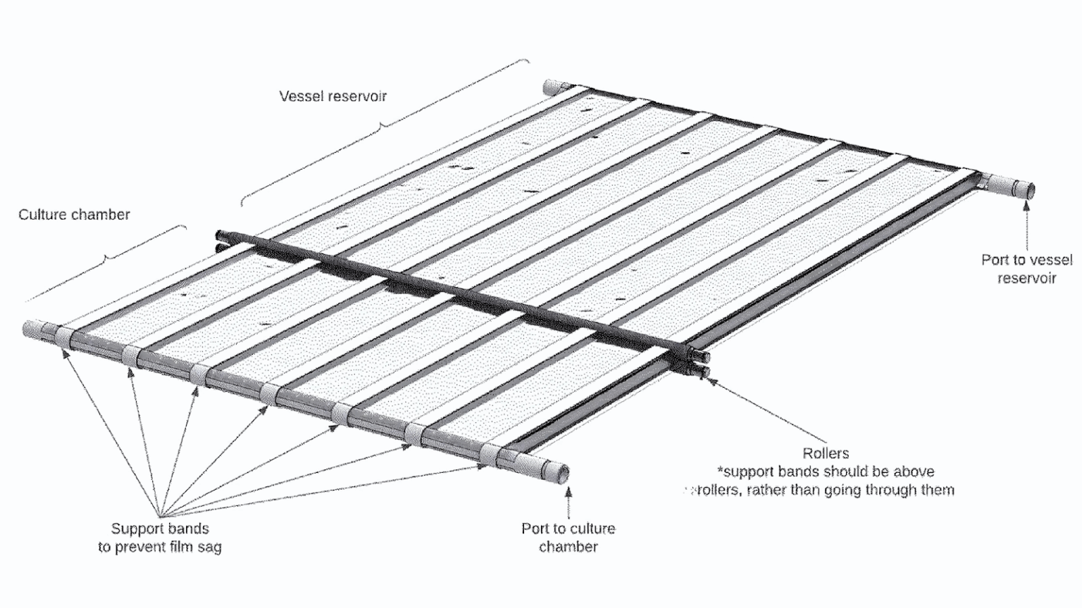 How Sustainable Fat Replacers are Reshaping Tomorrow’s Foods
