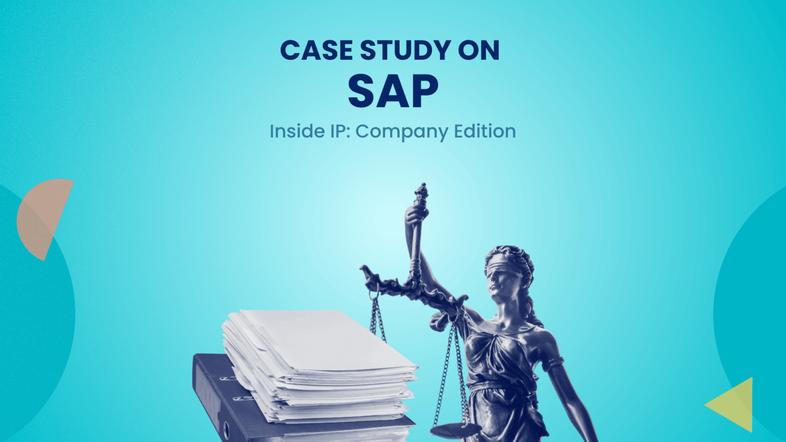 Strategic IP Management in the Enterprise Software Domain: A Case Study ...