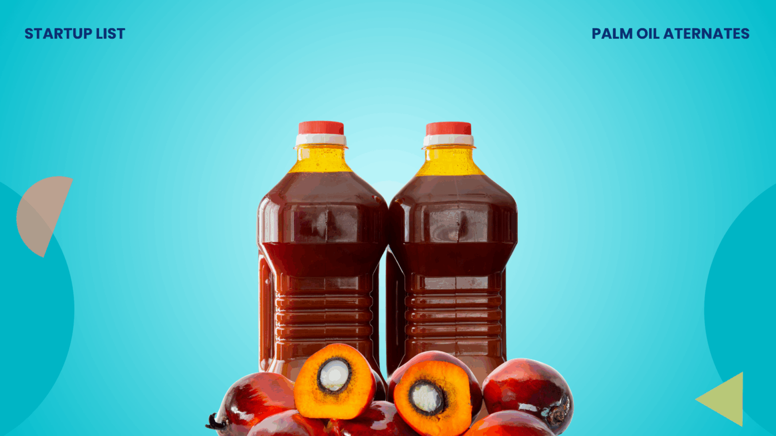 8 Startups with Sustainable Palm Oil Alternative Solutions - GreyB