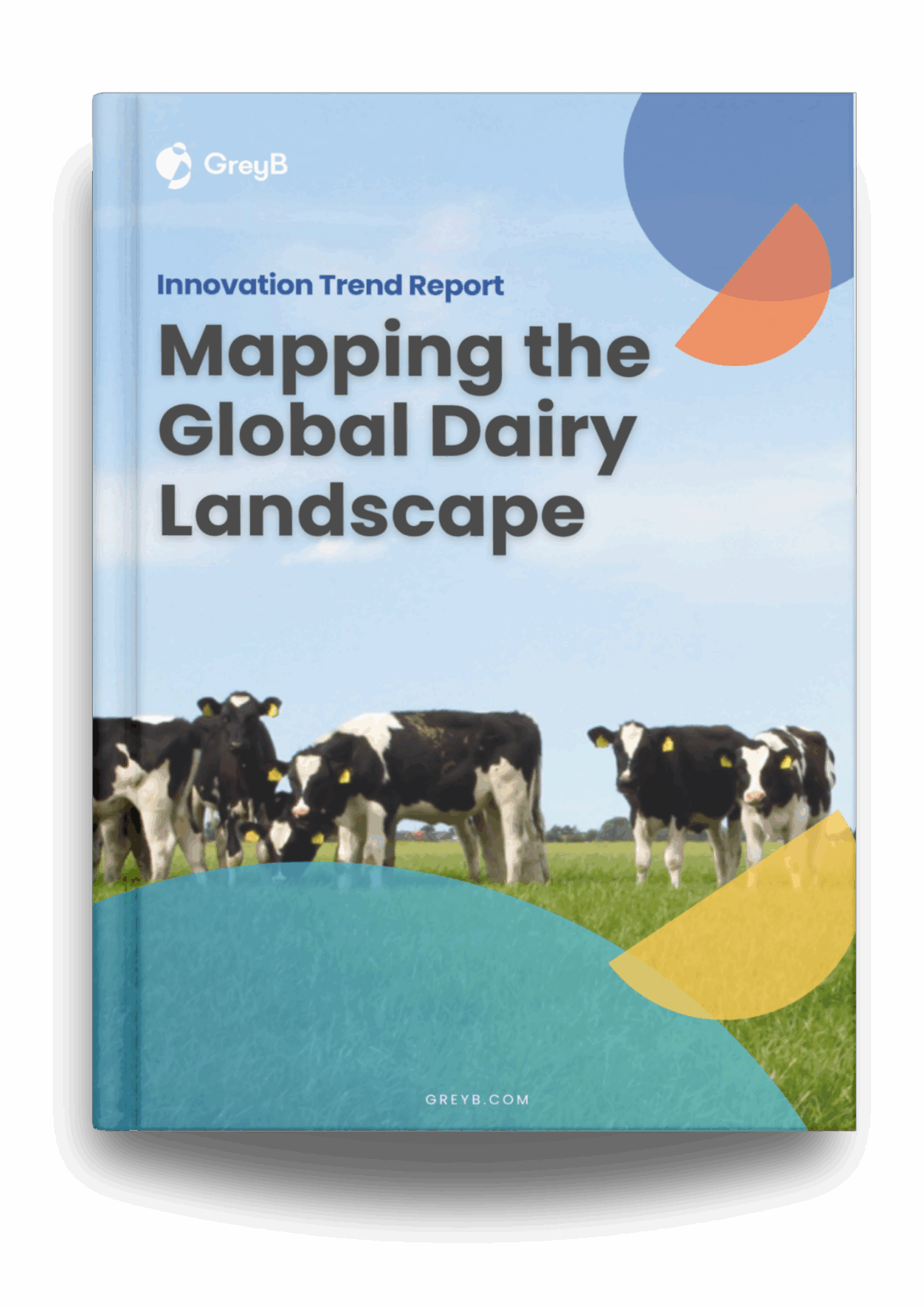 Dairy Industry Trends: The Companies Driving High Protein Innovation - GreyB