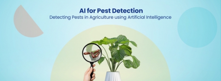 How AI is used to Detect Pests and Save Crops in Agriculture How AI is used to Detect Pests and Save Crops in Agriculture
