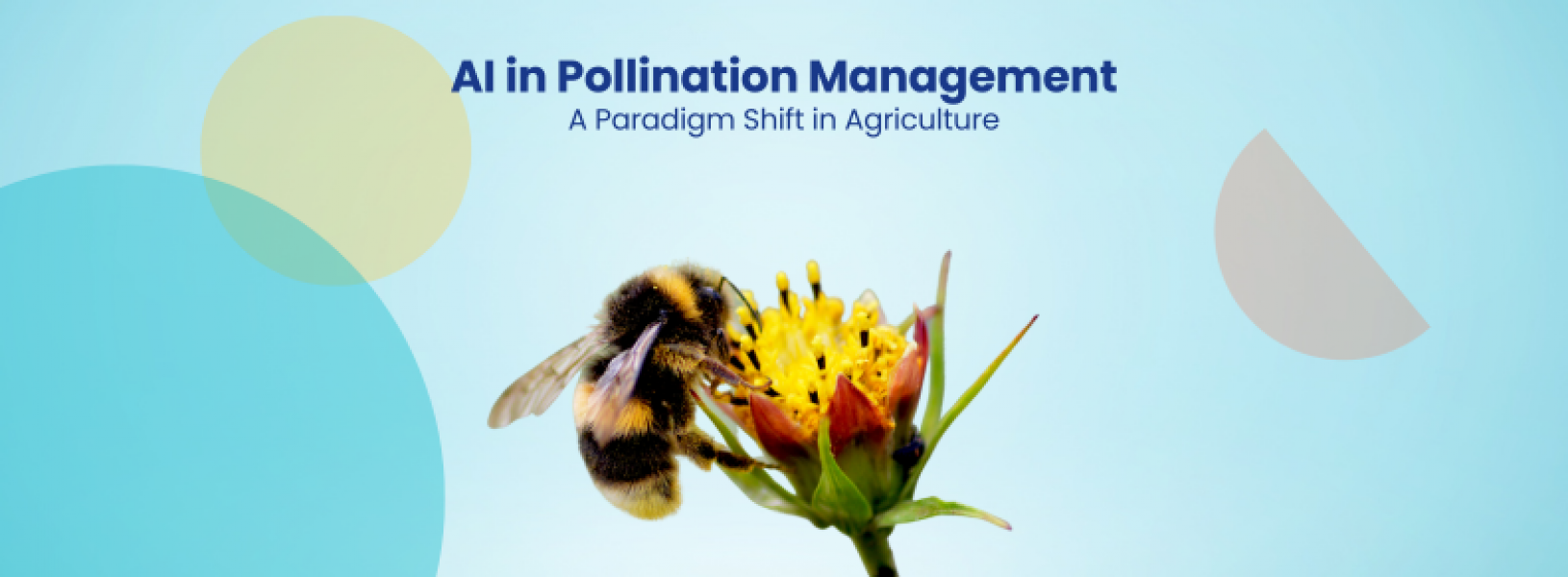 Discover The Newest Ai Solutions For Crop Pollination In Agriculture