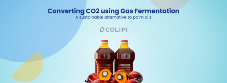 Colipi's Technology: Creating Sustainable Palm Oil Alternatives - GreyB