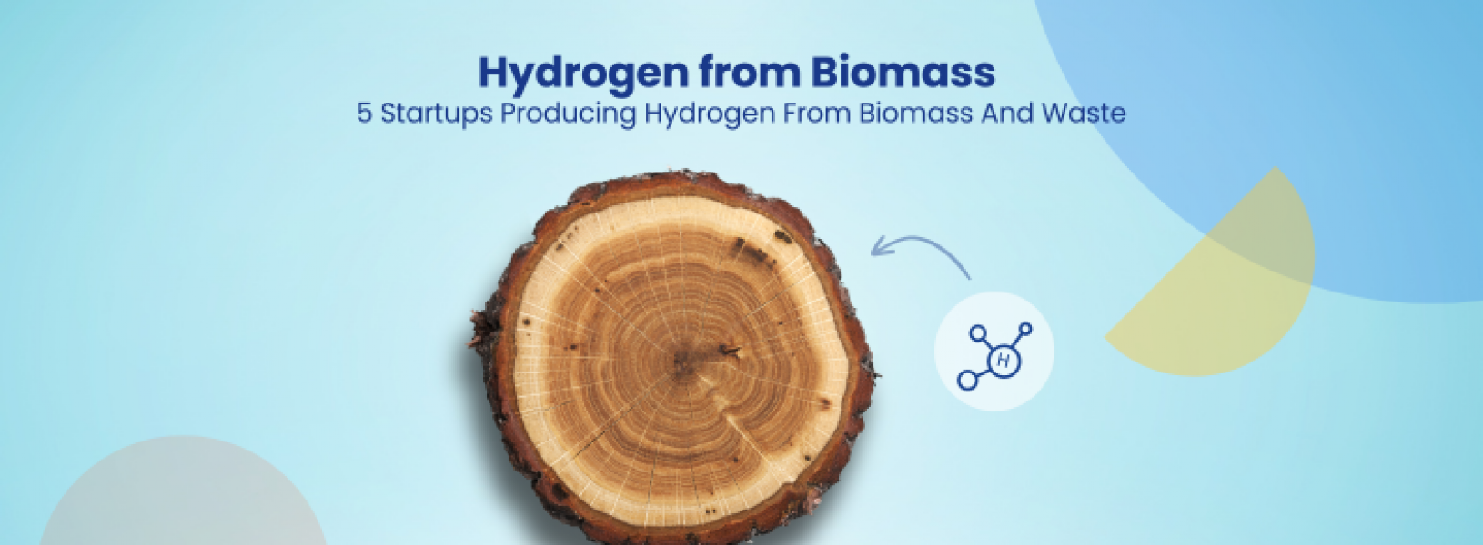 5 Startups Producing Hydrogen From Biomass And Waste