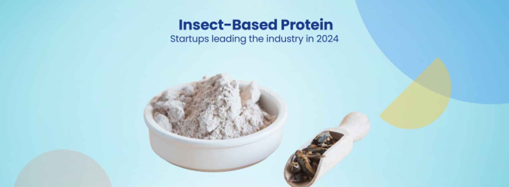 5 Insect-Based Protein Startups leading the industry in 2024 - GreyB
