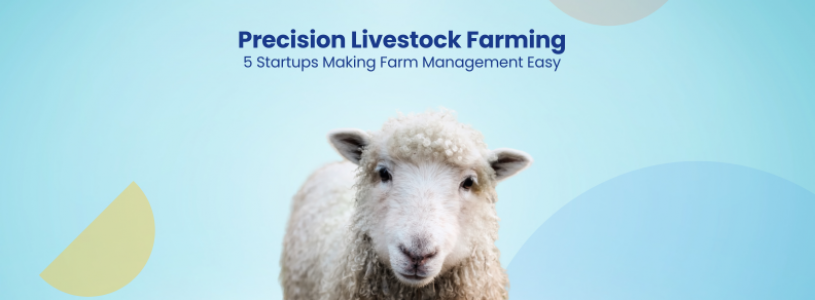 5 Precision Livestock Farming Startups to Watch In 2025 - GreyB