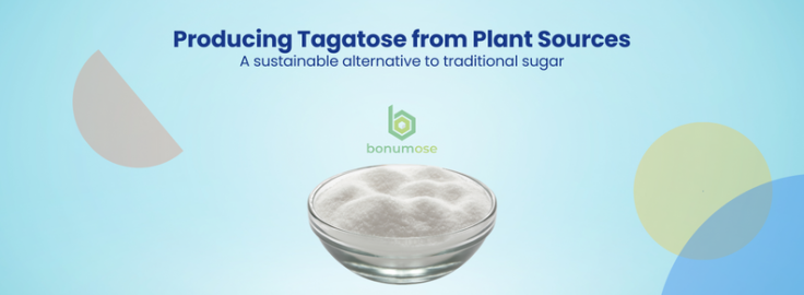 Bonumose's technology helps produce plant-based tagatose - GreyB